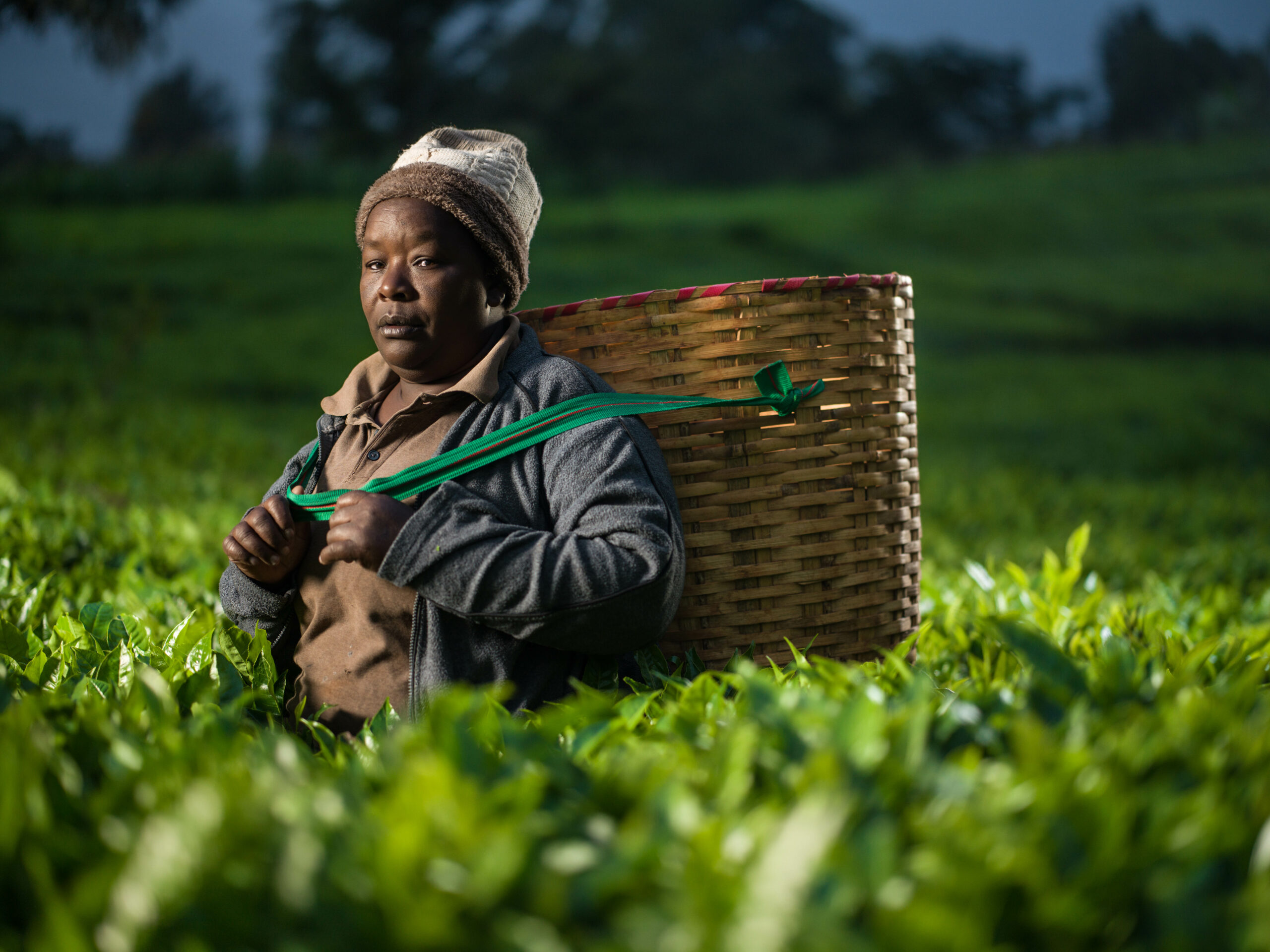 The Lasting Legacy of Ann in Othaya - Kwara Blog