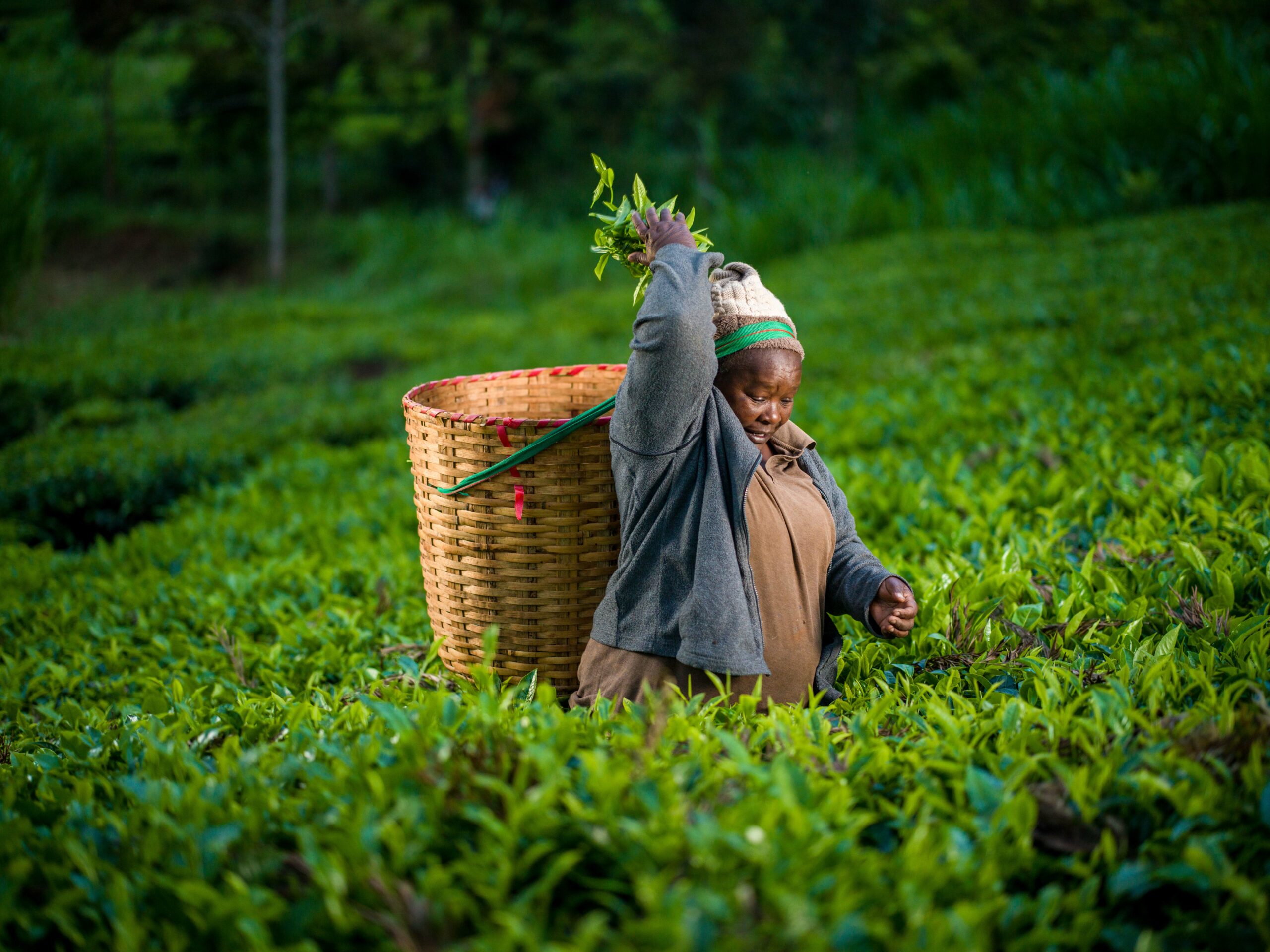 The Lasting Legacy of Ann in Othaya - Kwara Blog